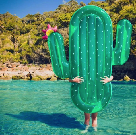 Luxe float - cactus | Gouts et couleurs
